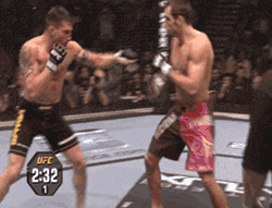 Ufc GIF - Find on GIFER