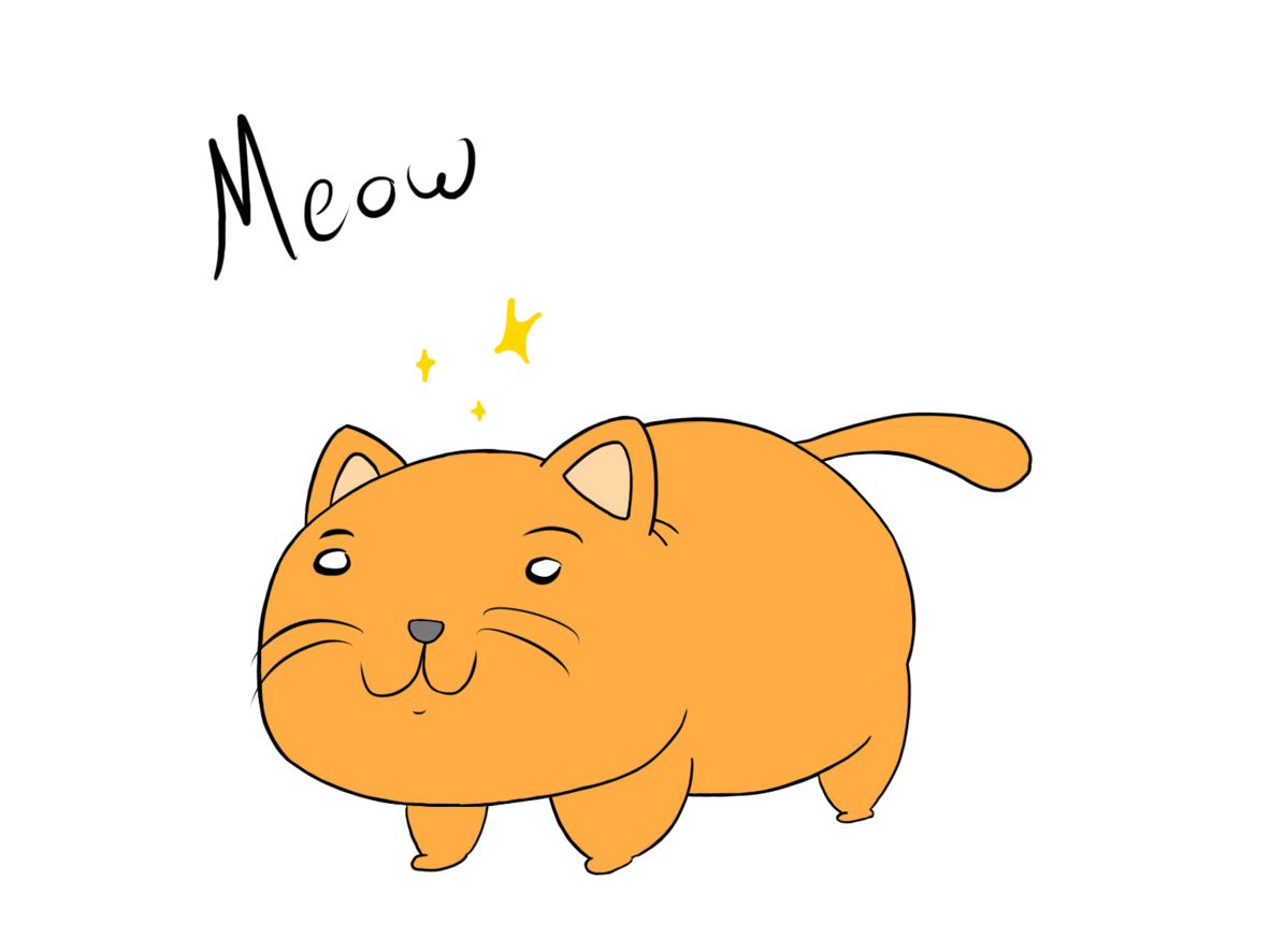 Meow GIF - Find on GIFER