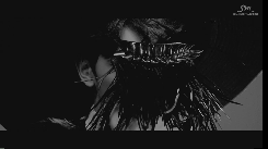 Wind cat GIF - Find on GIFER