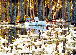 The notebook GIF - Find on GIFER