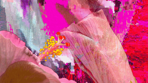 GIF pink crystal beiersdorfer glitch art - animated GIF on GIFER