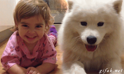 Gifs De Chiens Heureux Chien De Dessin Animé Heureux Avec Hache Et