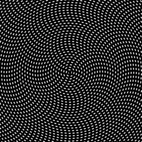 GIF original - animated GIF on GIFER