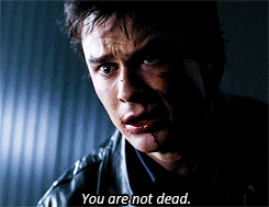 GIF matt damon - animated GIF on GIFER