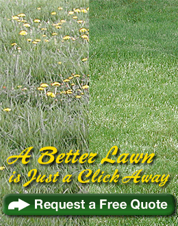 Request GIF - Find on GIFER