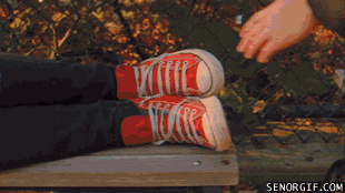 Worst GIF - Find on GIFER