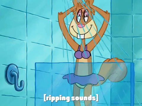 Wes anderson GIF - Find on GIFER