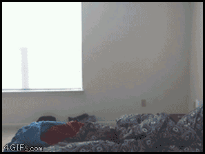 Home way make GIF - Find on GIFER
