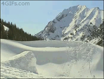 I did a thing GIF - Find on GIFER