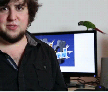 GIF fail bird - animated GIF on GIFER