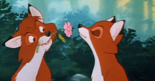 Fox GIF - Find on GIFER