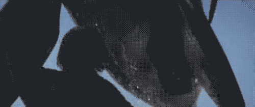 GIF alone - animated GIF on GIFER