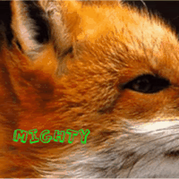 Red fox GIF - Find on GIFER