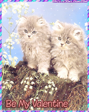 Kittens GIF - Find on GIFER