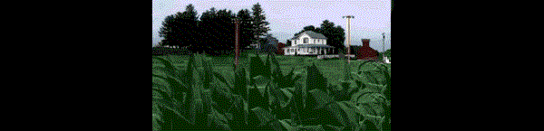 Field of dreams GIF - Find on GIFER