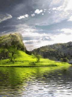 Nature GIF - Find on GIFER
