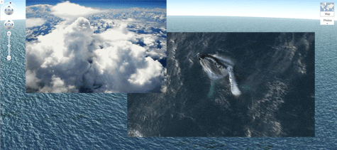 Artists on tumblr google maps google earth GIF - Find on GIFER