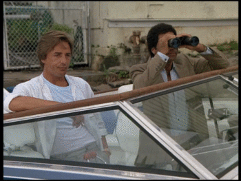 Miami GIF - Find on GIFER