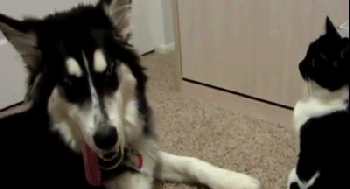 Hey hand me GIF - Find on GIFER