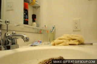 Toma baño mal baño GIF - Encontrar en GIFER