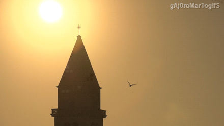 Birds sky GIF - Find on GIFER