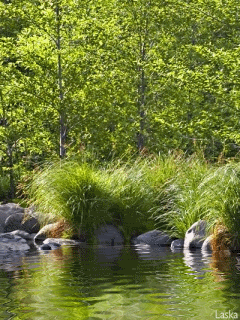 Community week GIF - Find on GIFER