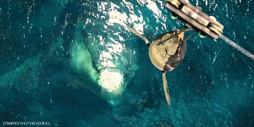 Trailer GIF - Find on GIFER