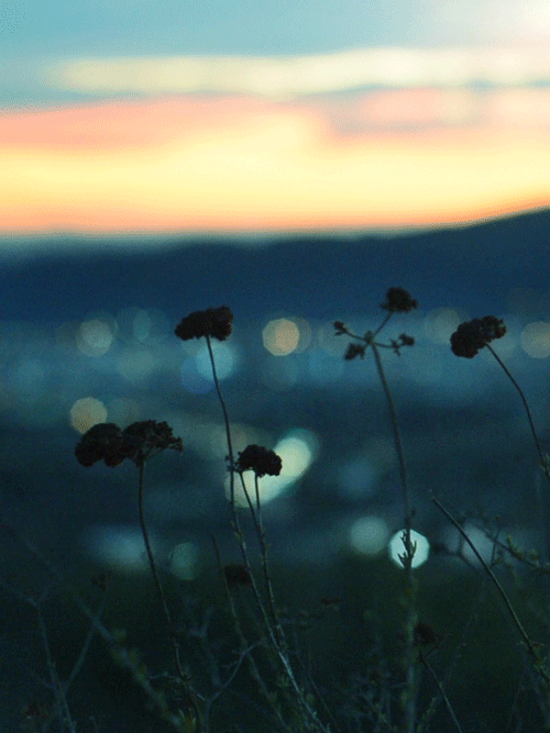 Scene GIF - Find on GIFER