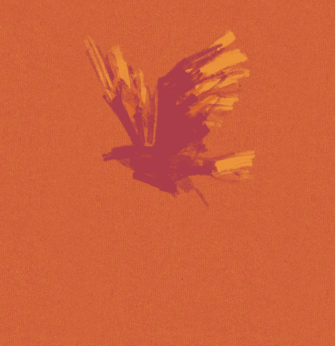 Birds animation black and white GIF - Find on GIFER