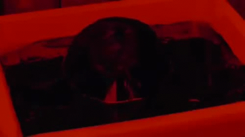 Blood horror movies GIF - Find on GIFER