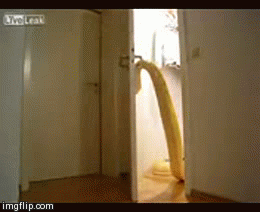 Night mrw drinking GIF - Find on GIFER