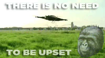 GIF no - animated GIF on GIFER