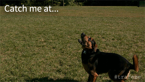 Pete wrigley GIF - Find on GIFER