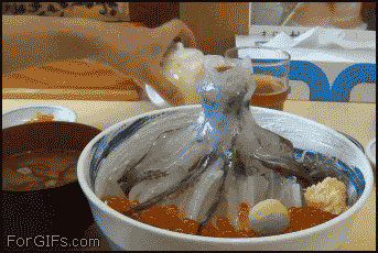 Food sea GIF - Find on GIFER