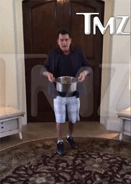 Gifsoup Com Simba Fights