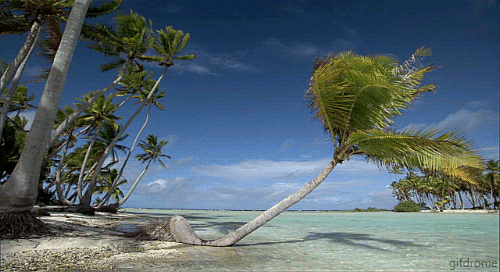 Bbc south pacific paysage océan GIF - Trouver sur GIFER