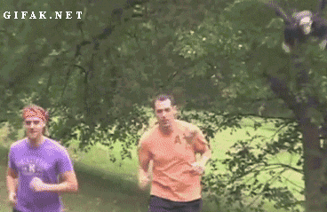 Run GIF - Find on GIFER