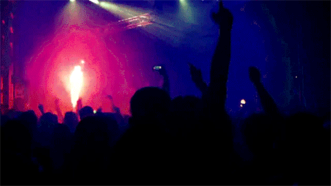 Music festival GIF - Find on GIFER