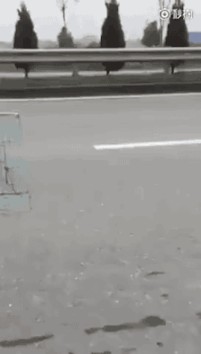 Nuestro Gif De Rapido Y Furioso Rapido Y Furioso GIFs | Tenor