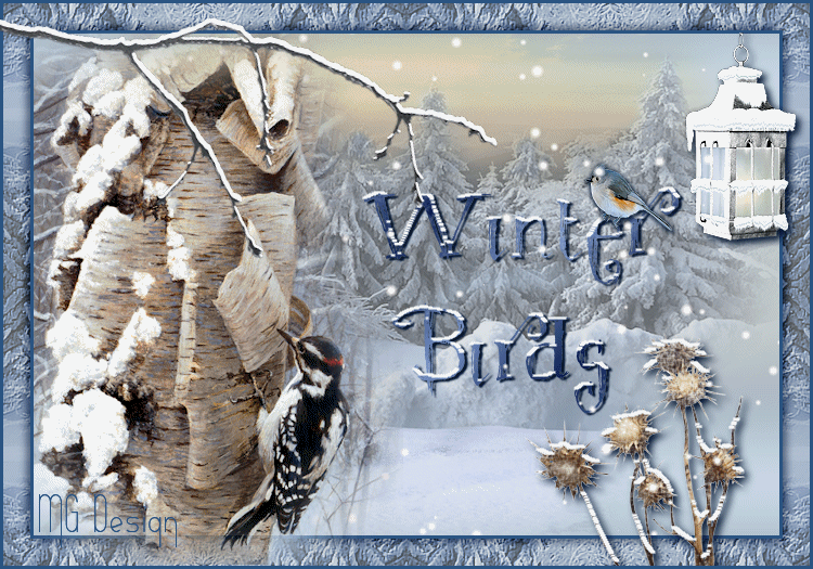 GIF winter - animated GIF on GIFER