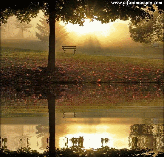 Nature GIF - Find on GIFER