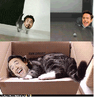 GIF get to know me - animated GIF on GIFER