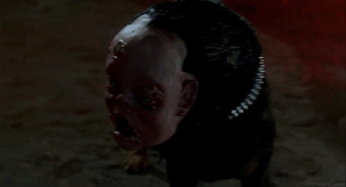 Dog baby GIF - Find on GIFER