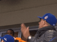 GIF new york mets - animated GIF on GIFER