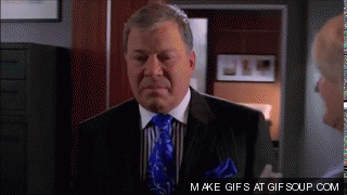 Boston GIF - Encontrar em GIFER