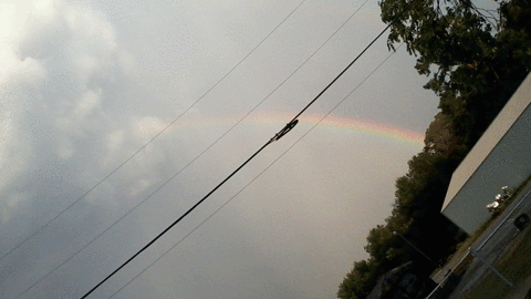 GIF rainbow - animated GIF on GIFER