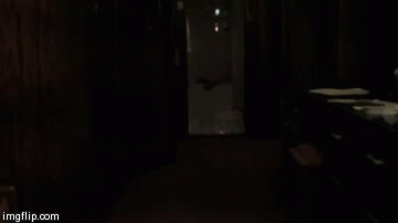 GIF door bathroom - animated GIF on GIFER