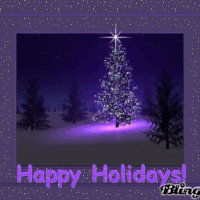 Holidays GIF - Find on GIFER