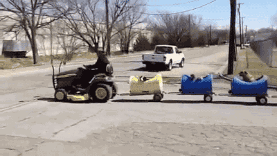 Dog train GIF - Find on GIFER