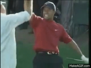 Tiger Woods Oui Gif